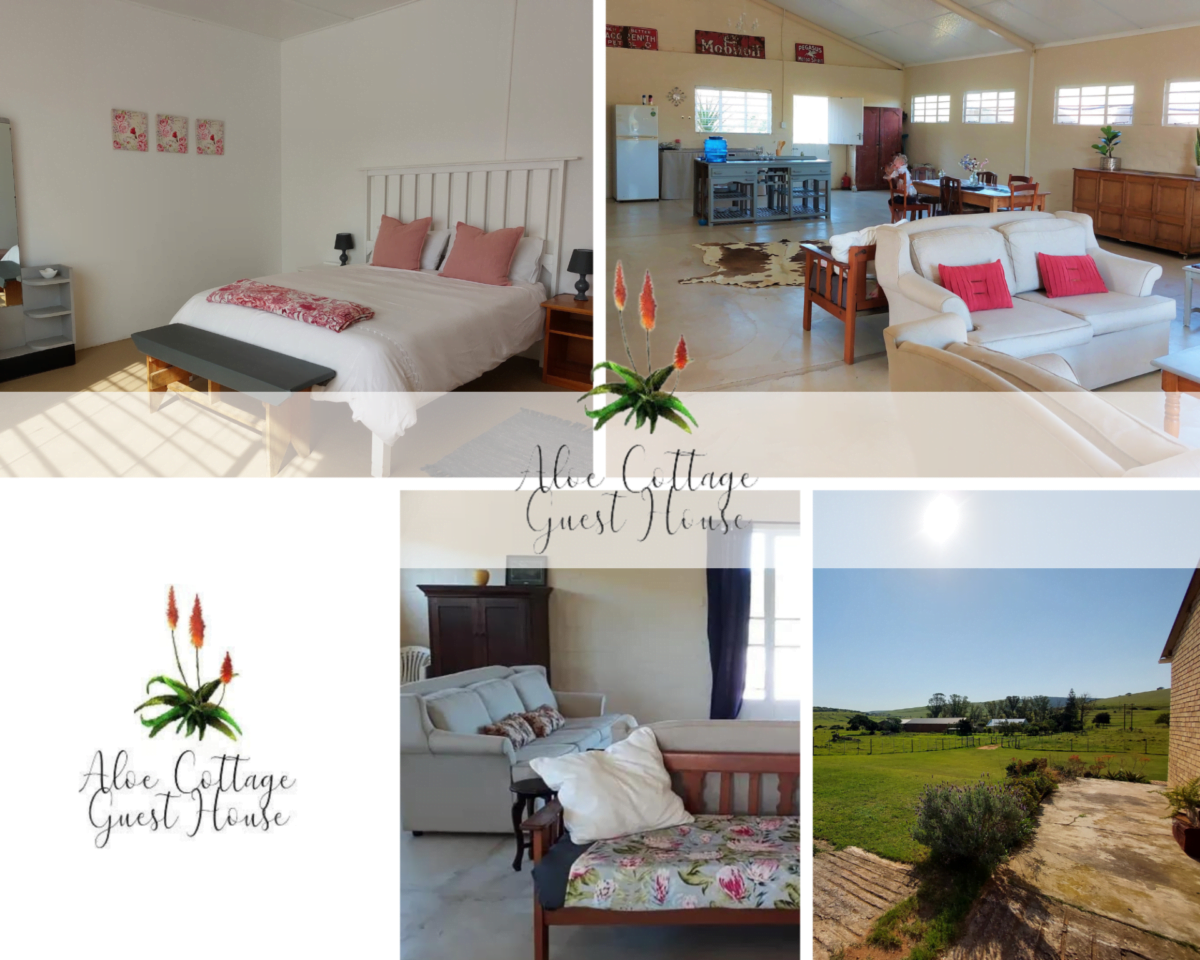 2 Night stay for 4 guest at the Aloe Guest house | The Grey Foundation ...